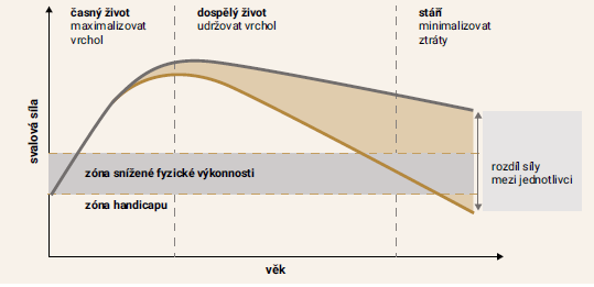 Sarkopenie: definice a diagnostika nové nemoci | proLékaře.cz
